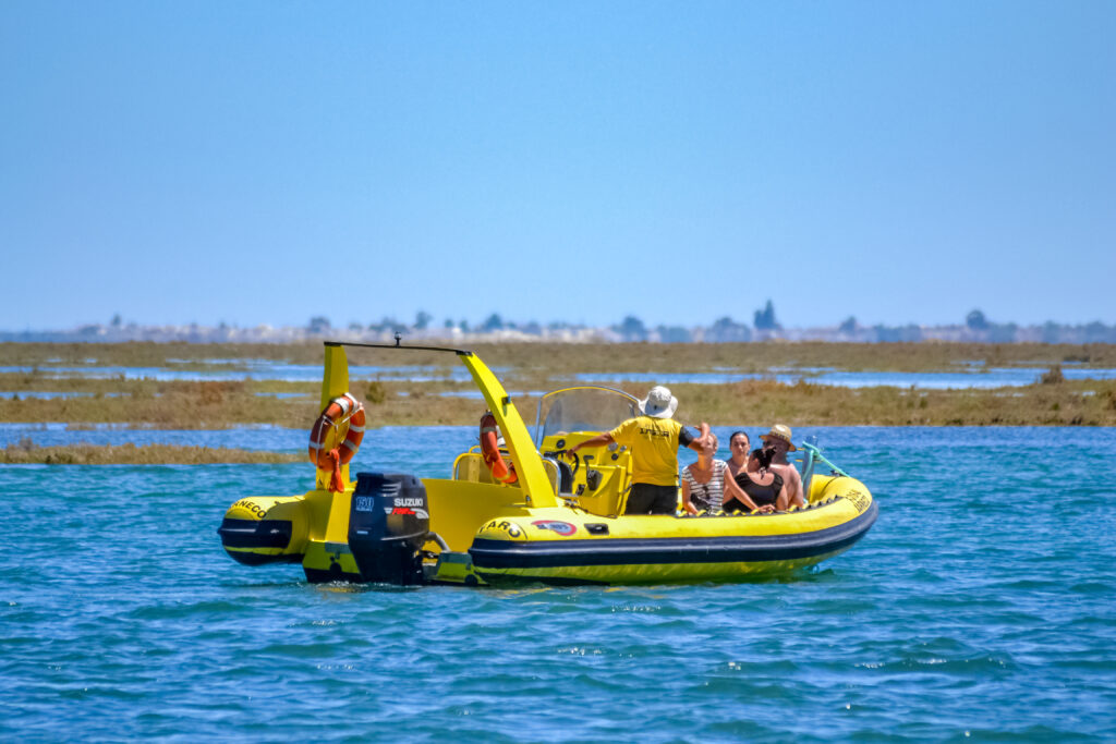 Animaris | Algarve Transfers | WayAround